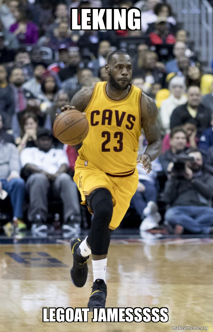 LEKING LEGOAT jamesssss - Lebron James Meme Generator