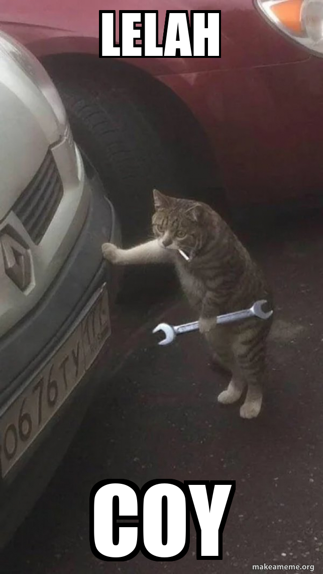 Lelah Coy - Mechanic Cat Meme Generator