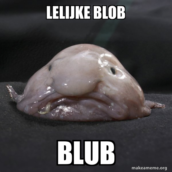 lelijke blob blub - Blobfish Meme Generator