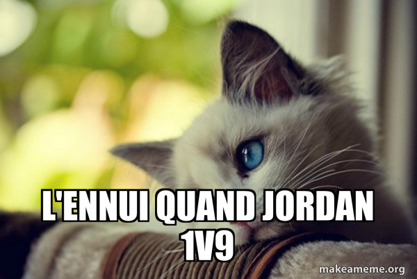 l'ennui quand jordan 1v9 - First World Cat Problems Meme Generator