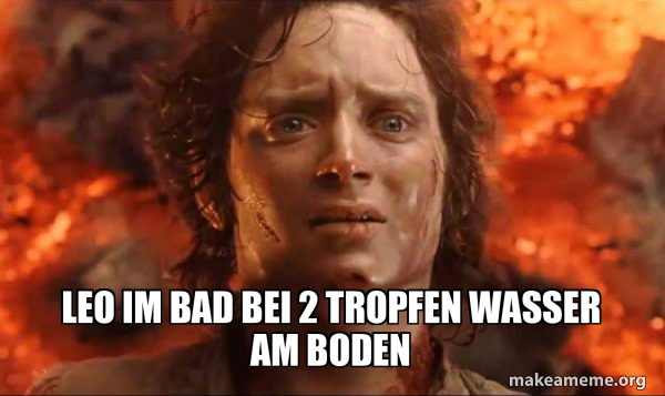 Leo im Bad bei 2 Tropfen Wasser am boden - Frodo it's over it's done ...