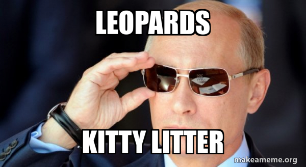 leopards kitty litter - Vladamir Putin Meme Generator