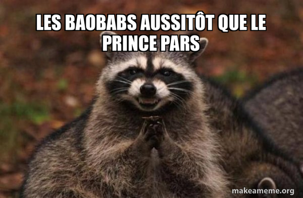 les baobabs aussitôt que le prince pars - Evil Plotting Raccoon Meme ...