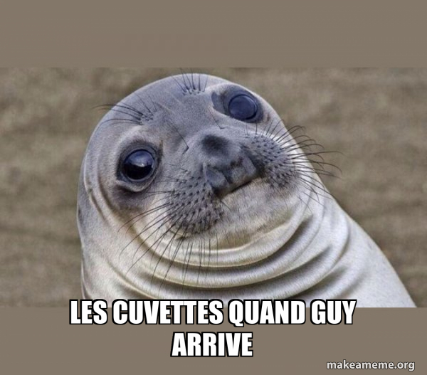 Les cuvettes quand Guy arrive - Squeamish Seal Meme Generator