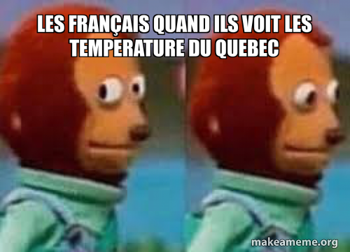 Les français quand ils voit les temperature dU Quebec Meme Generator
