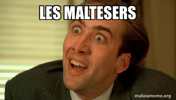 Les Maltesers - Sarcastic Nicholas Cage Meme Generator