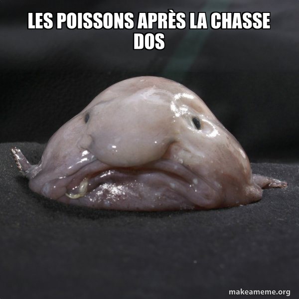 Les poissons après la chasse dos - Blobfish Meme Generator