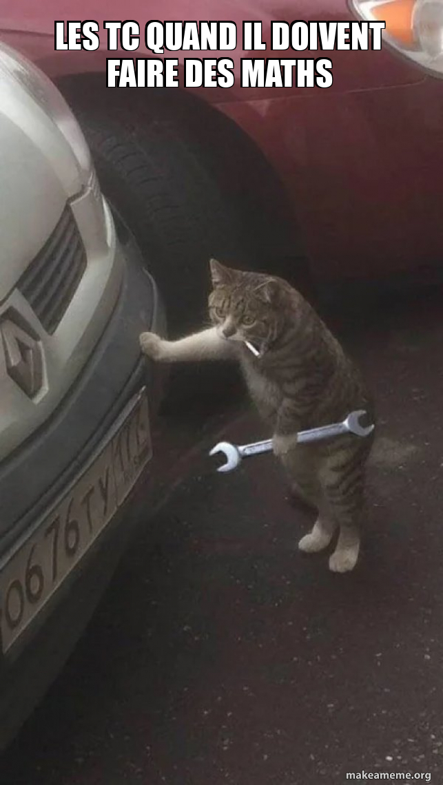 Les tc quand il doivent faire des maths - Mechanic Cat Meme Generator