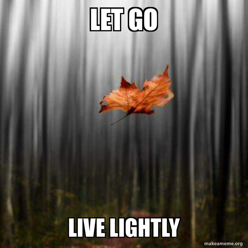 Let go Live lightly Meme Generator