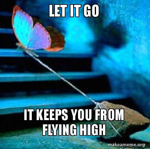 Let it go It keeps you from flying high Meme Generator