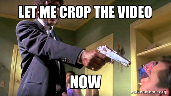 LET ME CROP THE VIDEO NOW - Samuel L. Jackson Say What Meme Generator