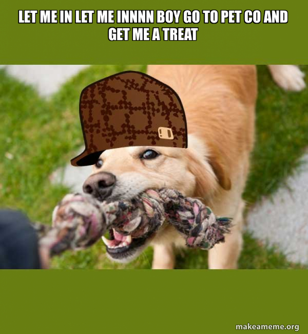 let me in let me innnn boy go to pet co and get me a treat - Scumbag ...