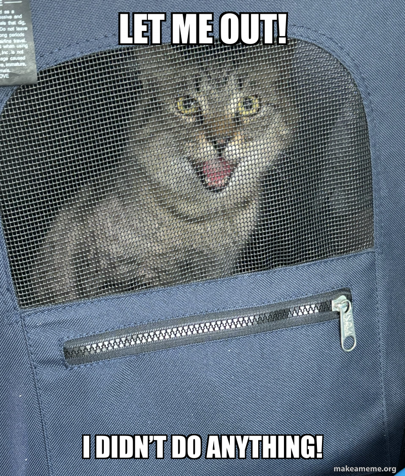 Let me out! I didn’t do anything! Meme Generator
