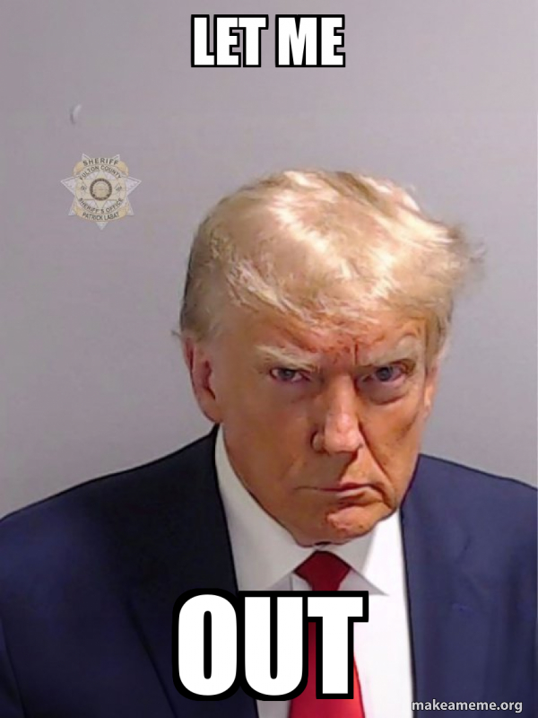 LET ME OUT - Donald Trump Mugshot Meme Generator