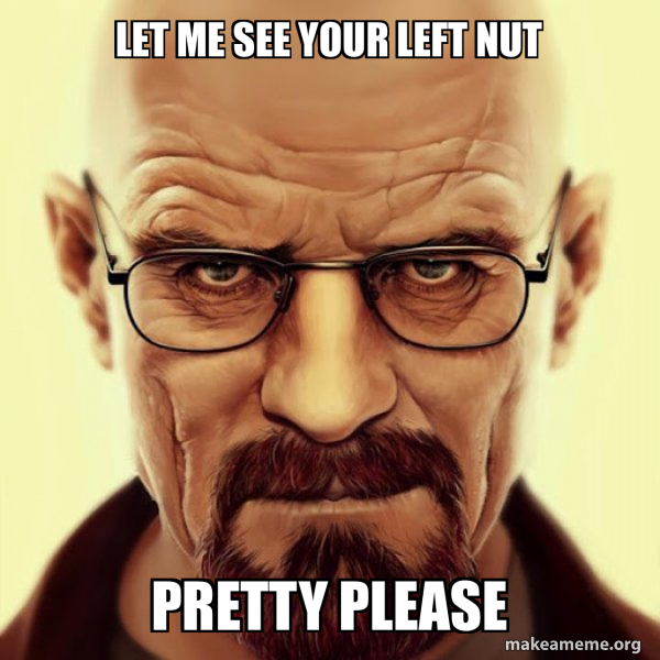 let me see your left nut pretty please - Walter White Breaking Bad Meme ...