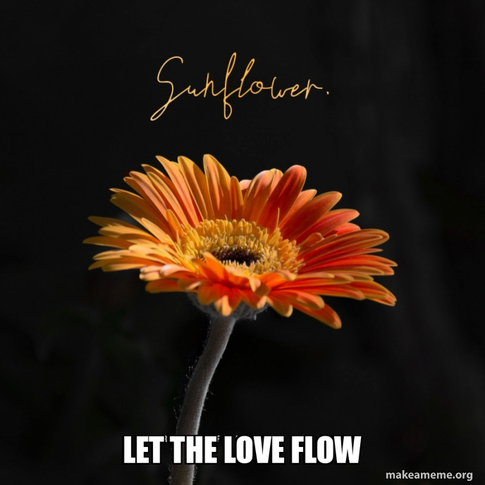 LEt the love flow Meme Generator