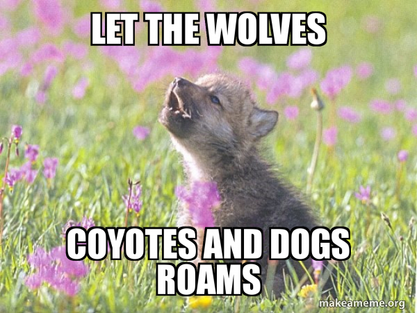 let the wolves coyotes and dogs roams - Baby Insanity Wolf Meme Generator
