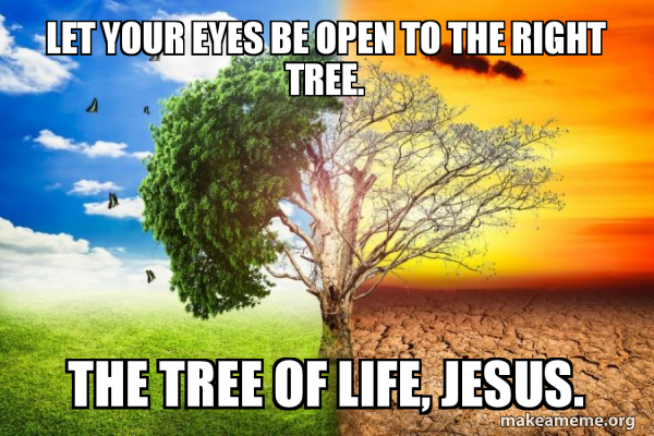 LET YOUR EYES BE OPEN TO THE RIGHT TREE. THE TREE OF LIFE, JESUS ...