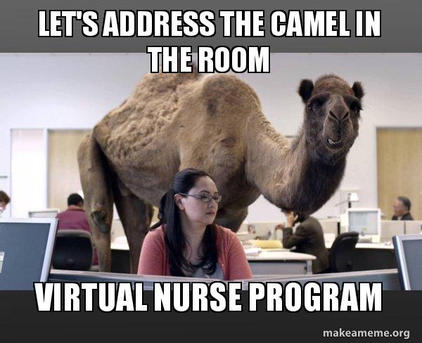 Let's Address the Camel in the Room Virtual Nurse Program - Hump Day ...