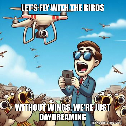 Let's fly with the birds Without wings, we're just daydreaming Meme ...