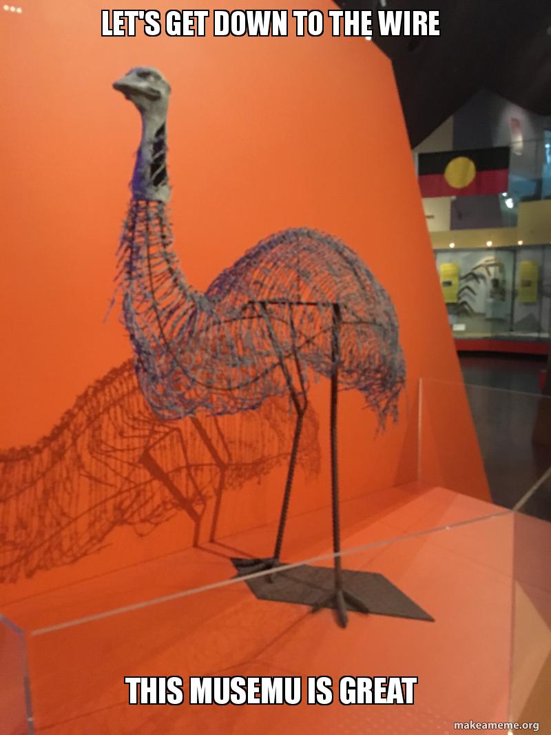 Let's get down to the wire This musEMU is great Meme Generator