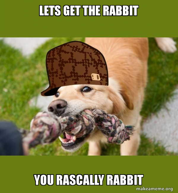 lets get the rabbit you rascally rabbit - Scumbag dog Meme Generator