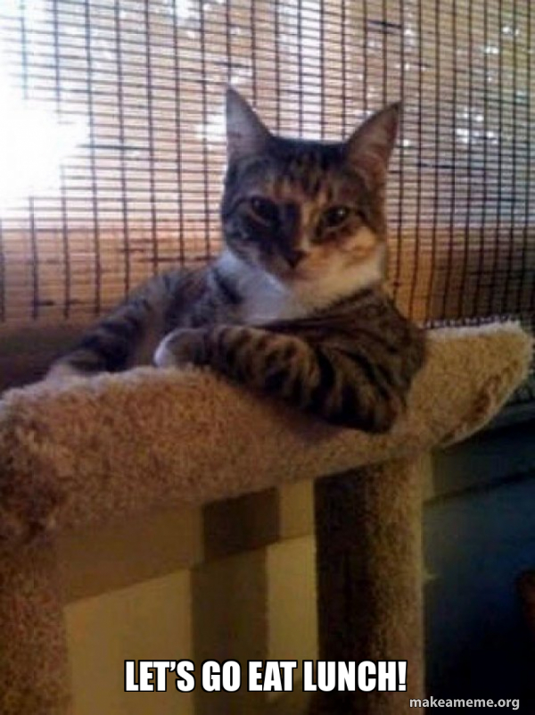 Let’s go eat lunch! - The Most Interesting Cat in the World Meme Generator