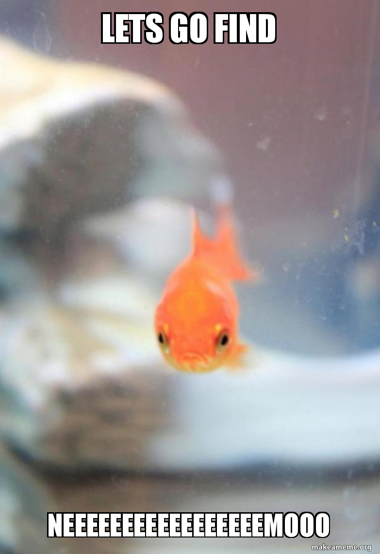 lets go find NEEEEEEEEEEEEEEEEEMOOO - Grumpy Fish Meme Generator