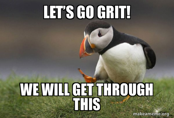 Letâ€™s go Grit! We will get through this - Unpopular Opinion Puffin ...