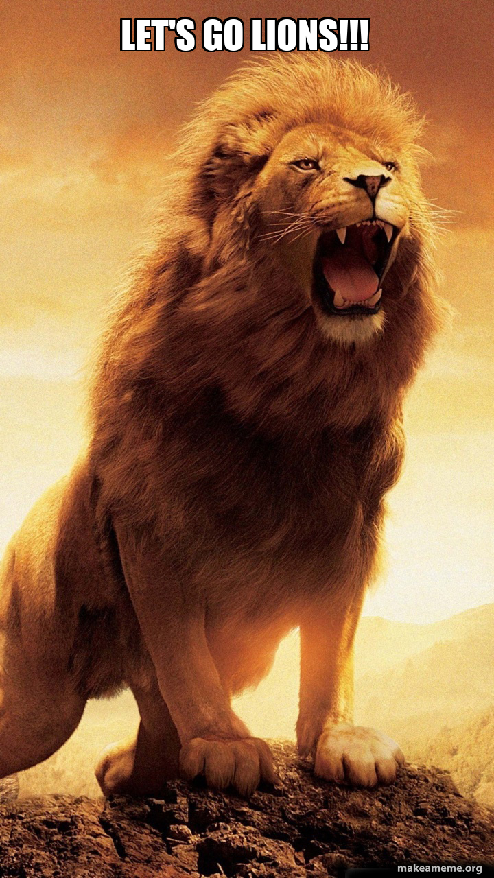 Let's go Lions!!! Meme Generator