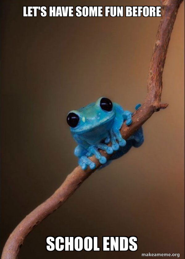 Let's have some fun before school ends - Small Fact Frog Meme Generator