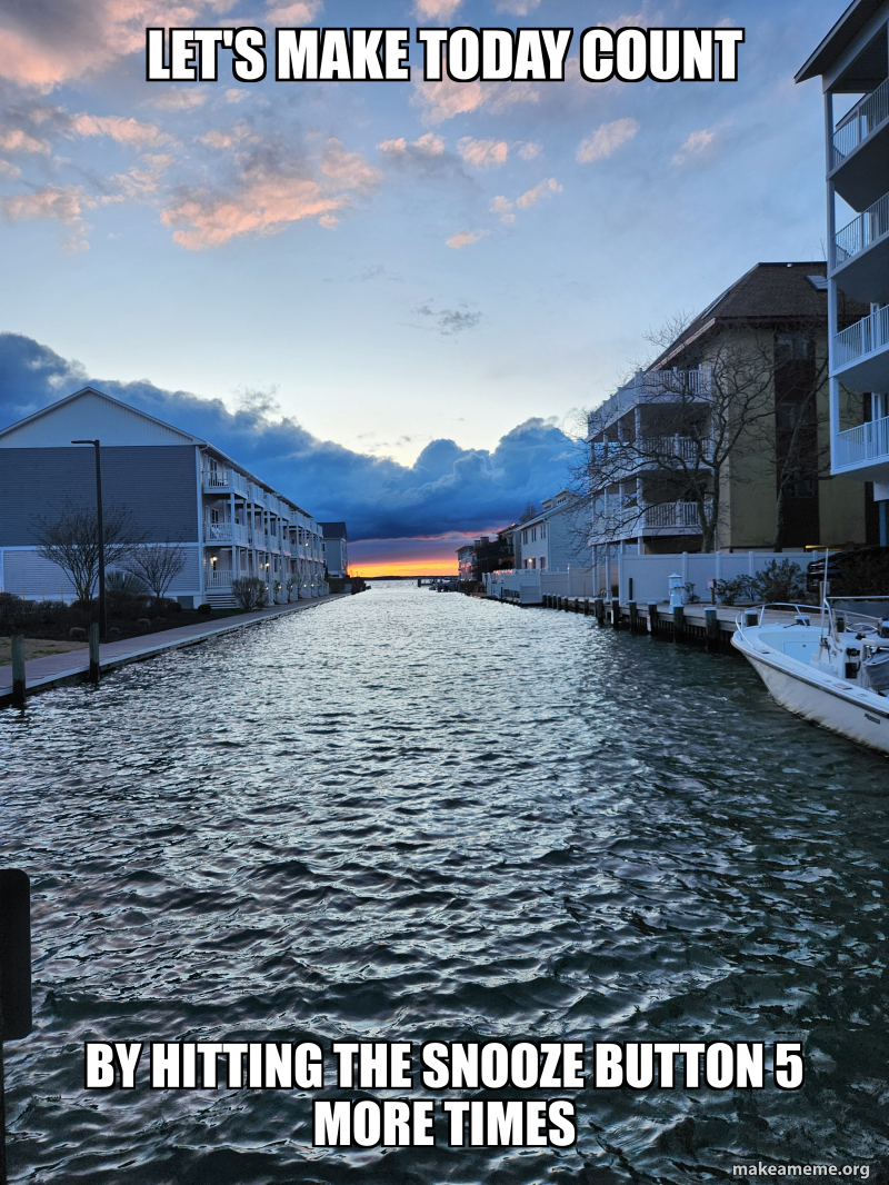 Let's Make Today Count By hitting the snooze button 5 more times Meme ...