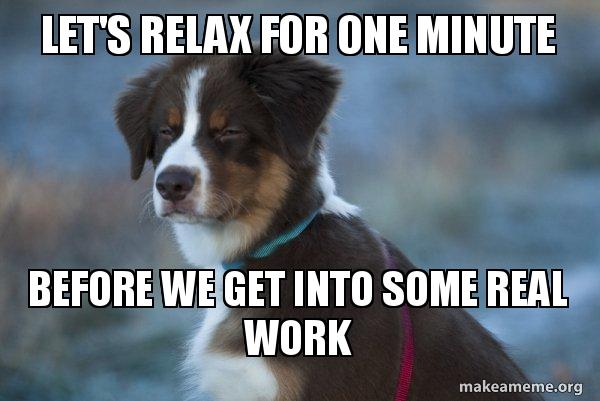 LET'S RELAX FOR ONE MINUTE BEFORE WE GET INTO SOME REAL WORK - Unsure ...