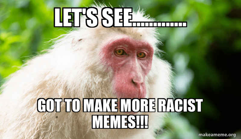LET'S SEE............. GOT TO MAKE MORE RACIST MEMES!!! Meme Generator