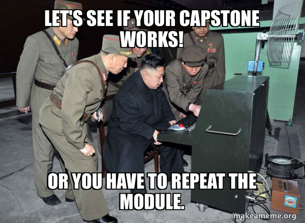 Let's see if your Capstone works! Or you have to repeat the module ...