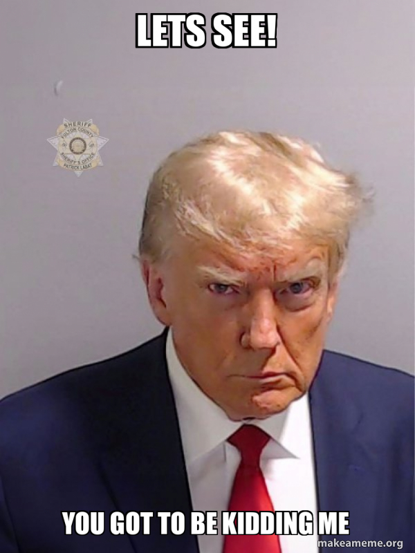 Lets see! you got to be kidding me - Donald Trump Mugshot Meme Generator