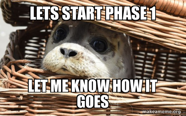 lets start phase 1 let me know how it goes - Impending Doom Seal Meme ...