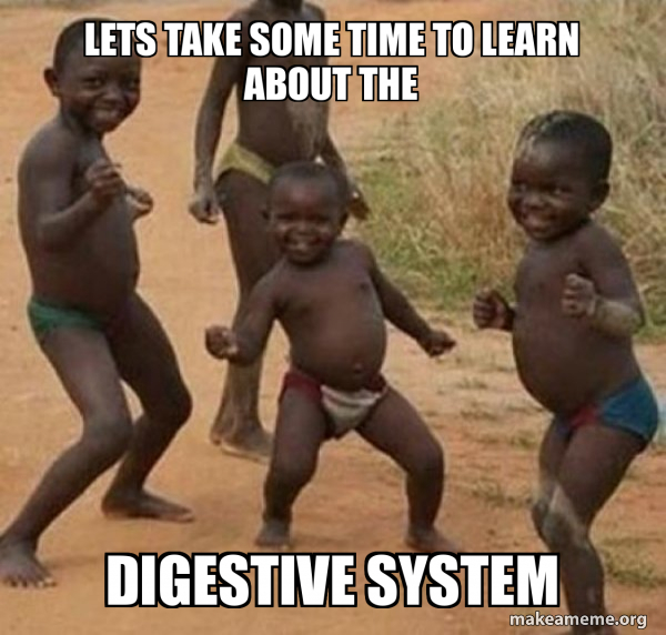 Lets take some time to learn about the Digestive system - Dancing Black Kids Meme Generator
