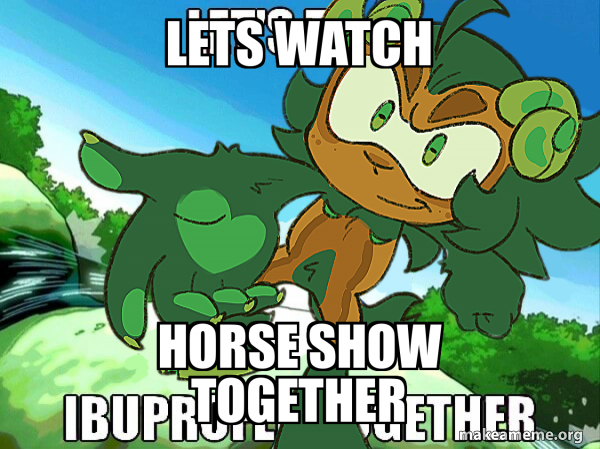 Lets watch Horse show together Meme Generator