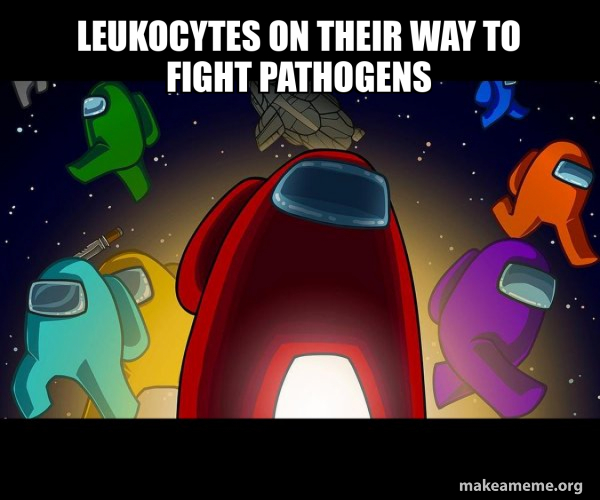 Leukocytes on their way to fight pathogens - Among Us Meme Generator