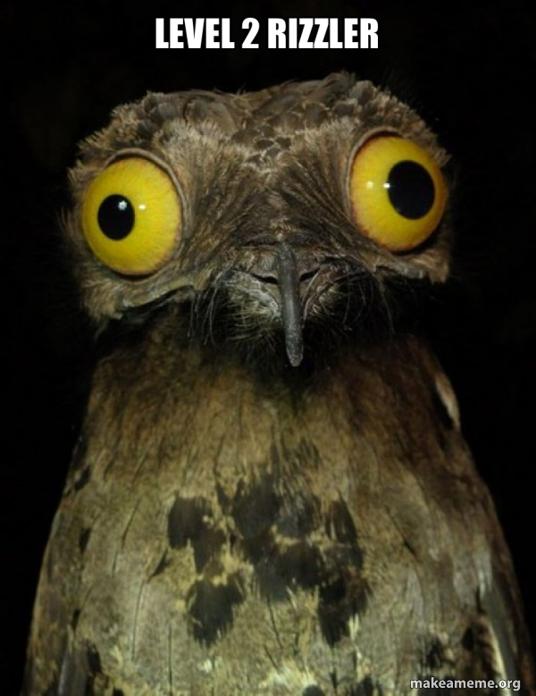 Level 2 rizzler - Weird Stuff I do Potoo Meme Generator