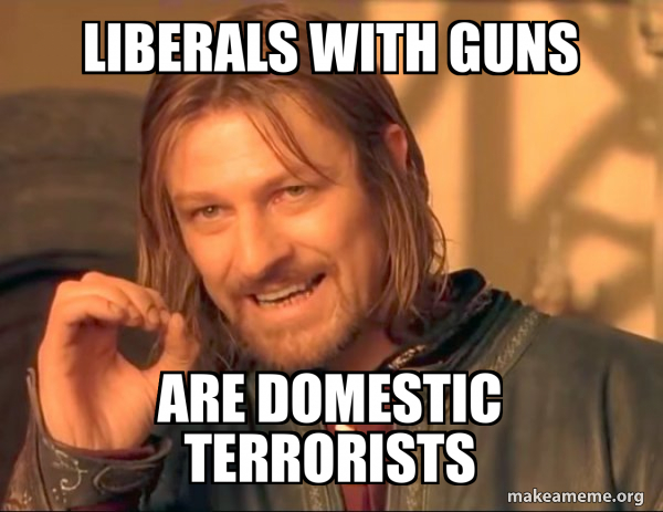 Liberals with guns Are domestic terrorists - One Does Not Simply Meme ...
