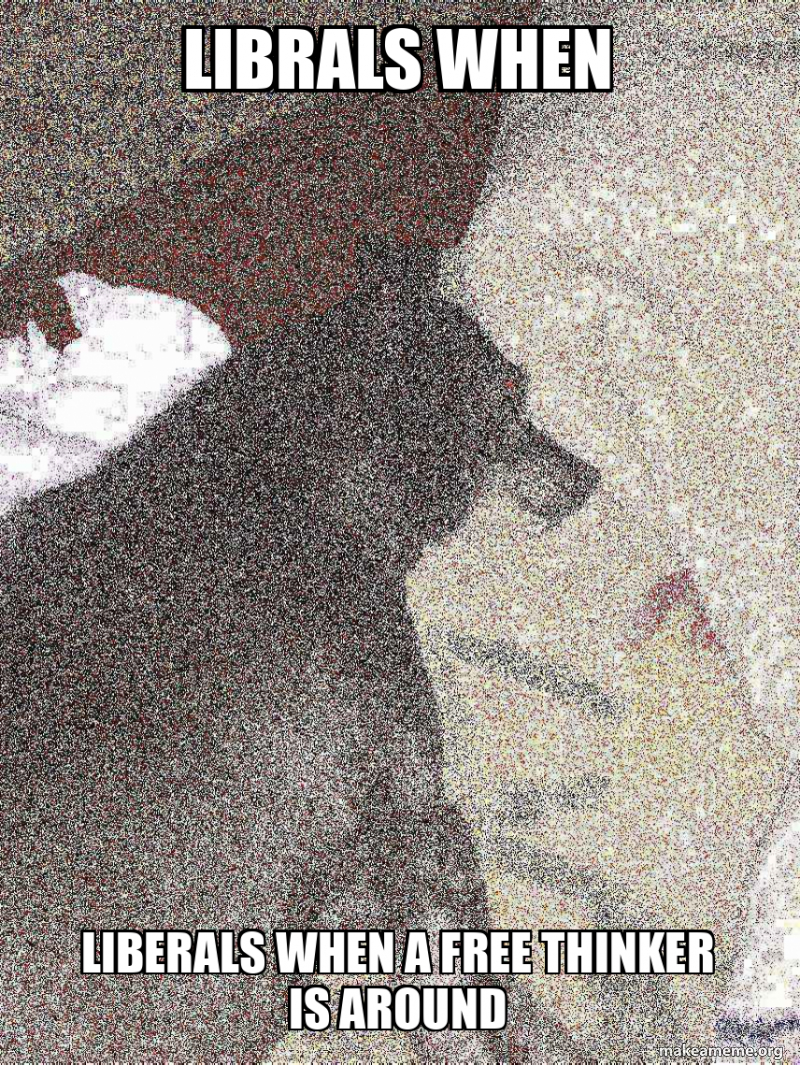 Librals when Liberals when a free thinker is around Meme Generator