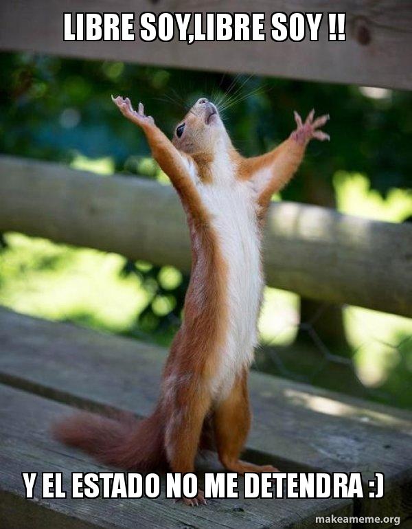 Libre soy,libre soy !! Y el estado no me detendra :) - Happy Squirrel ...