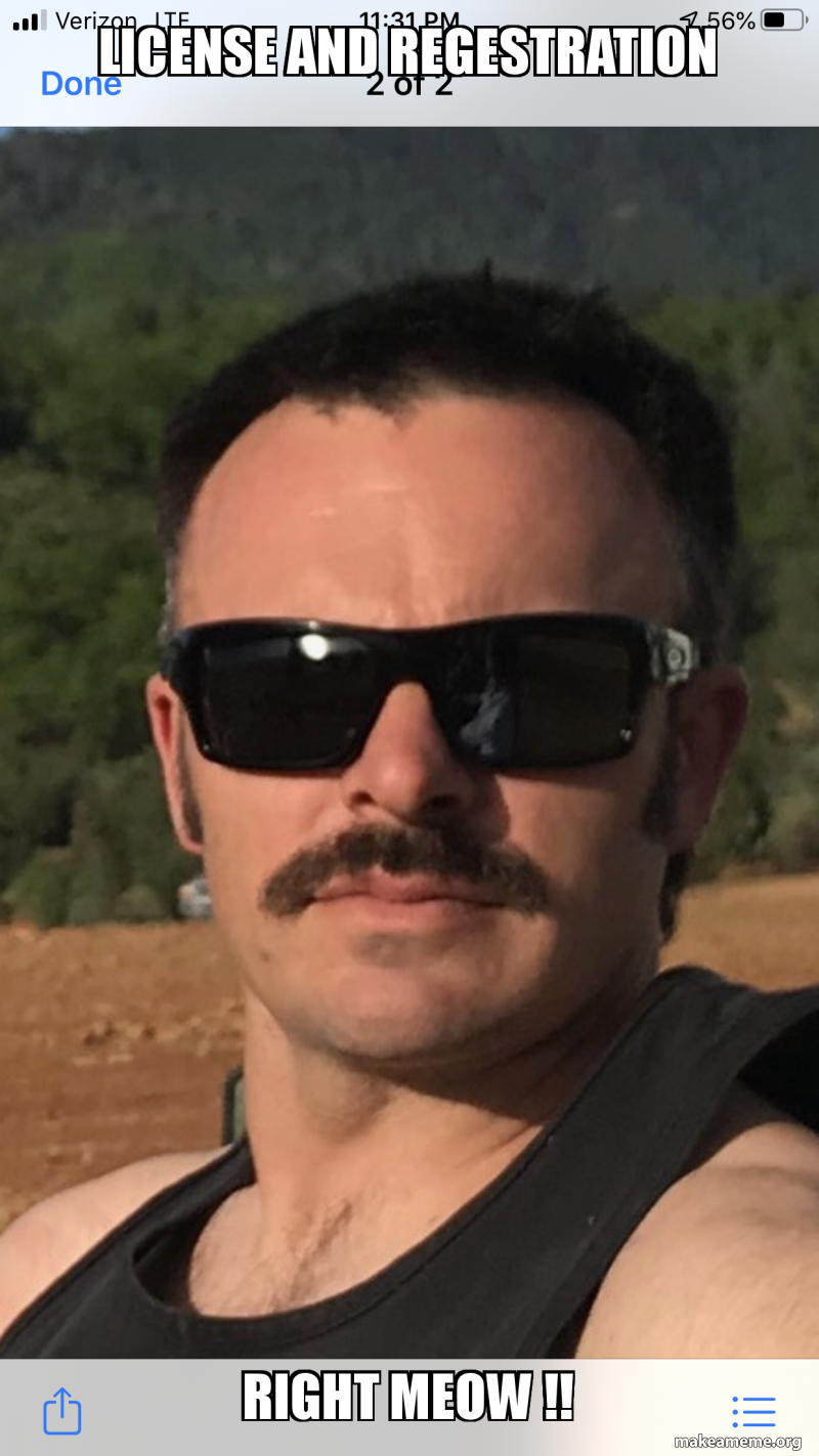 LICENSE and regestration Right meow !! Meme Generator