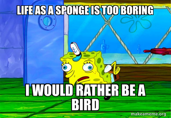 LIFE AS A SPONGE IS TOO BORING I WOULD RATHER BE A BIRD - Mocking ...