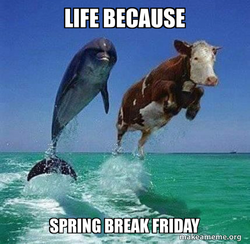 life because spring break friday Meme Generator