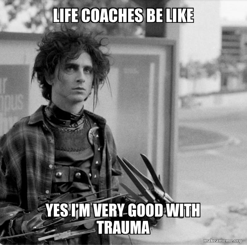 Life coaches be like yes I'm very good with trauma Meme Generator