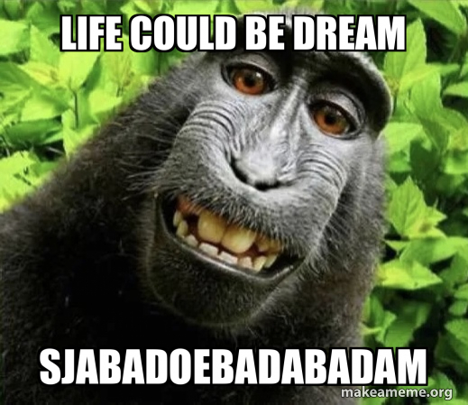 Life could be dream Sjabadoebadabadam Meme Generator