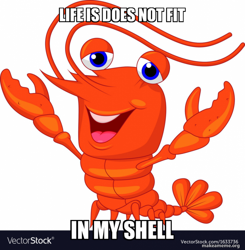 life is does not fit in my shell Meme Generator